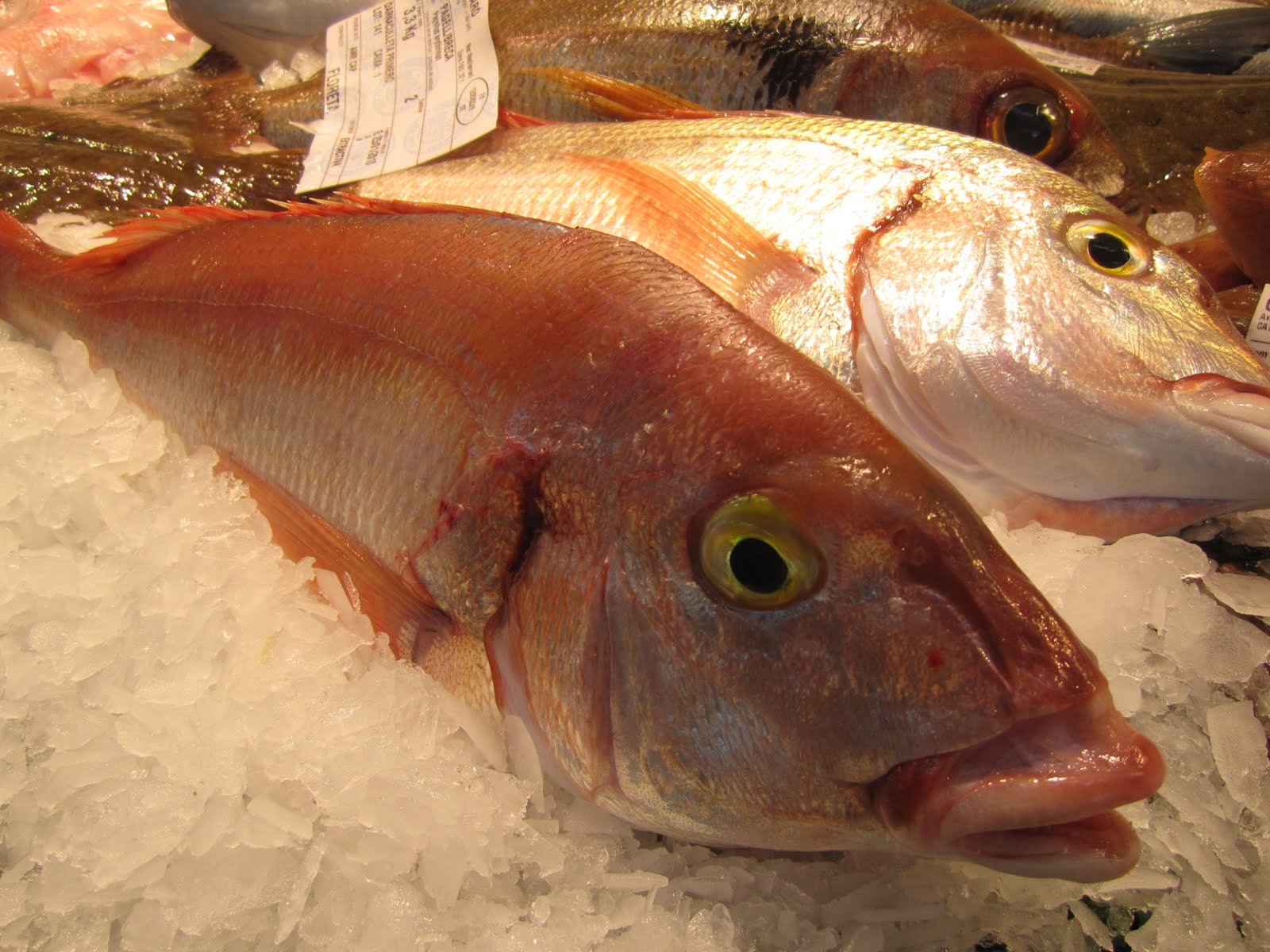 EL MILLOR PEIX: SUQUET , El Rescat d´una Cuina