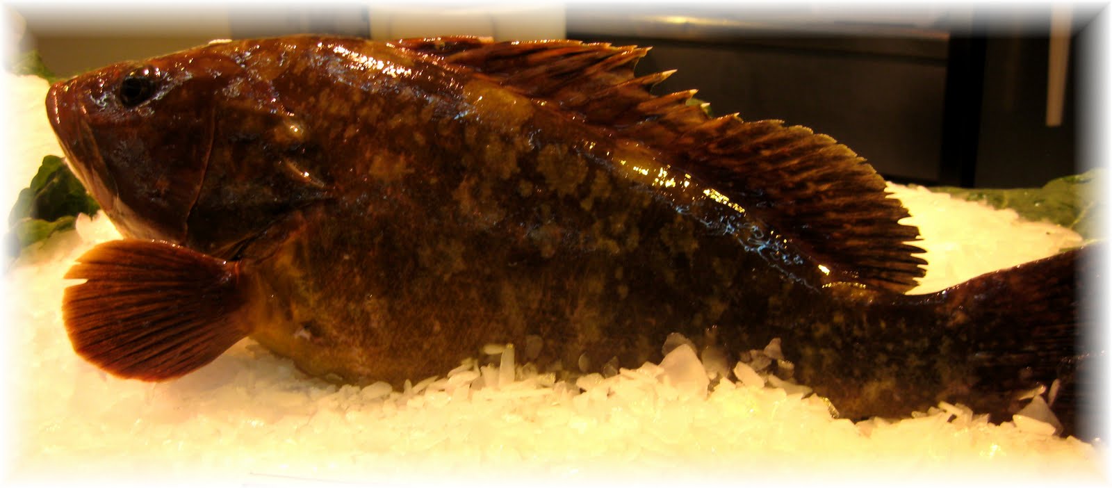 EL MILLOR PEIX: PEIX BLANC