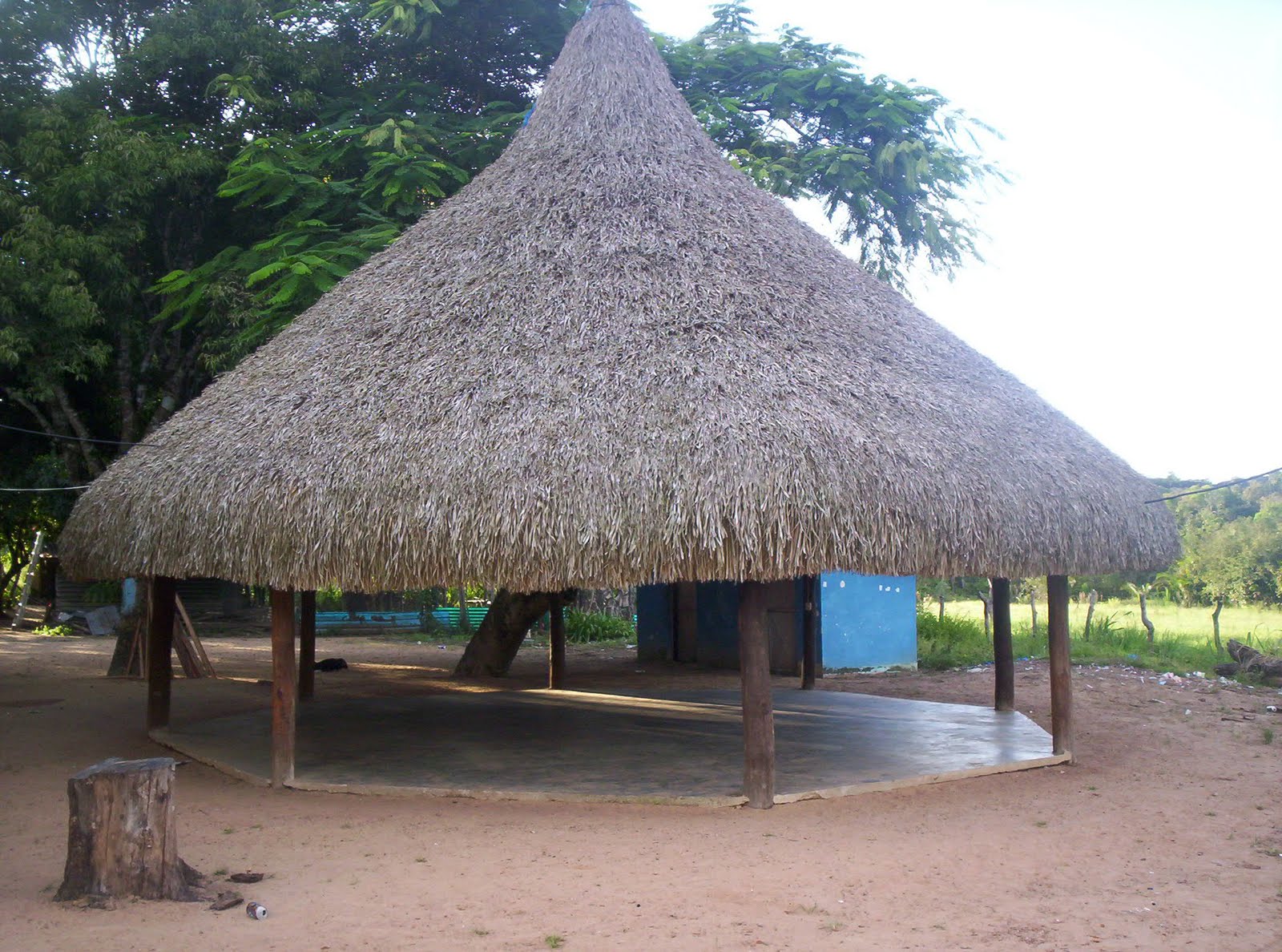 Mapoyo: La Etnia Mapoyo