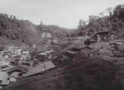 Lebong Tandai Napal Putih