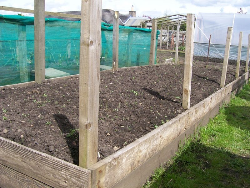 Woolshed 1: Leeks - their Growing and Showing.