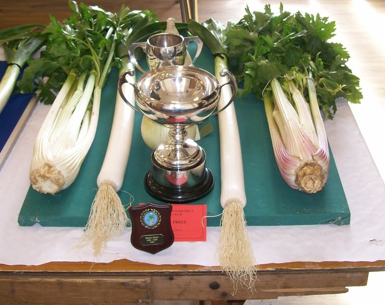 Woolshed 1: Leeks - their Growing and Showing.