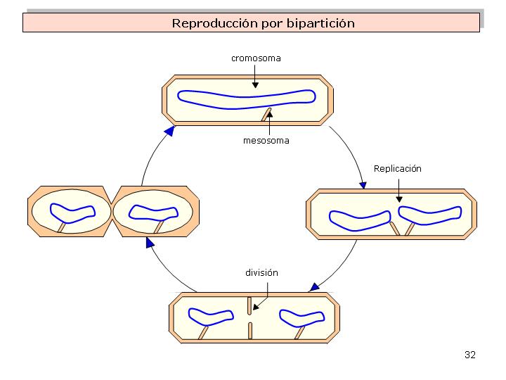 Aul@mbiental ENSFPS Málaga. Grado Octavo.: septiembre 2010