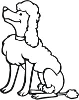 Bunnifesto: Year of the Rabbit (yippee!) & what it means for YOUR animal...