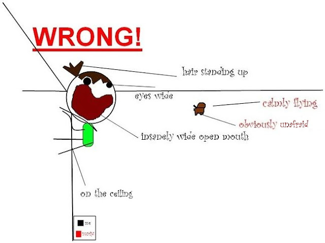 Super Awesome Happy Fun Time: Moths - Insects or Agents of Evil and Death