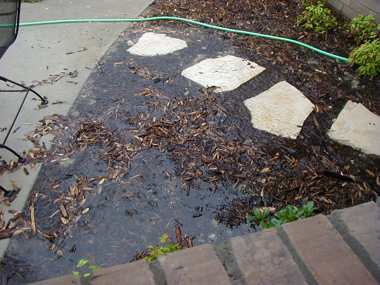 Mark Taylor: Information on Lawn Drainage