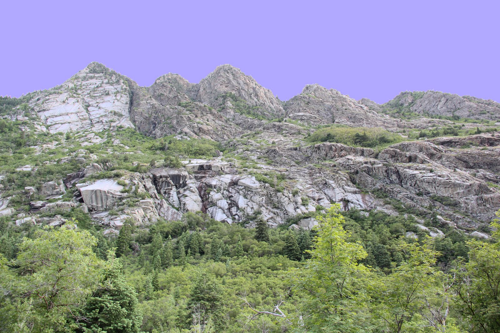 Sarah Geddes Photography