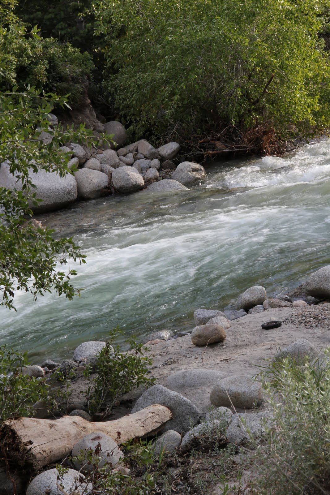 Sarah Geddes Photography