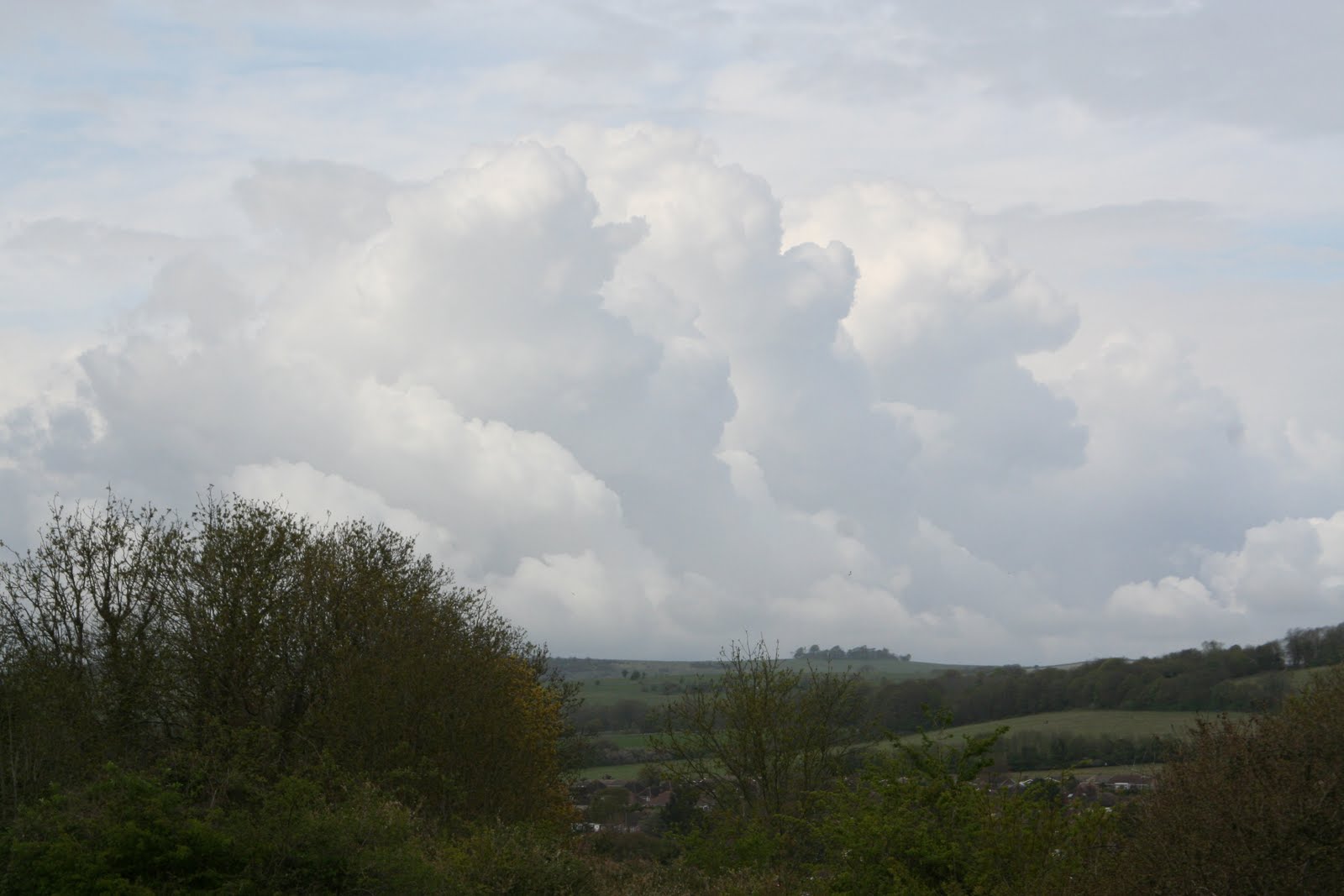 BT - The Crafty Gardener: UK Trip at Last