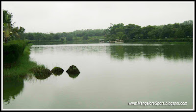 My Mangalore: