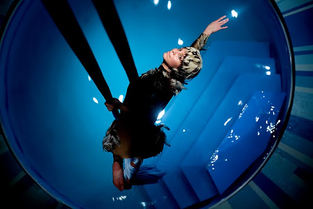 Plan B: Metamorphoses for the Statesman