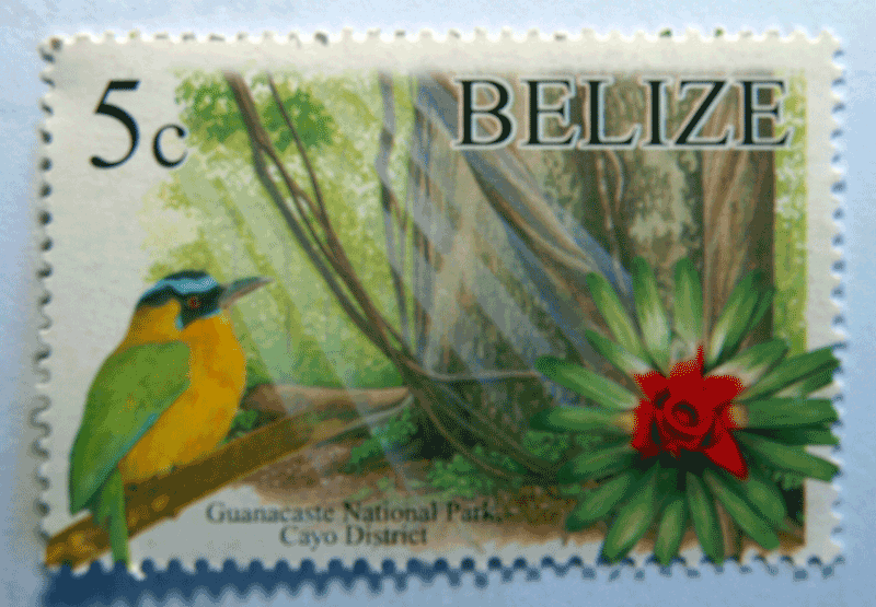 saltydogtales: Going Postal, Belize Style