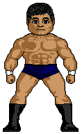 Don Muraco