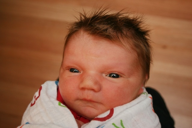 Flux School of Human Movement: Shaun, Suzanne, and Sam welcome home new ...