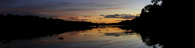 DESTINOS TURÍSTICOS EN EL MUNDO: El encanto de Amazonas en Colombia