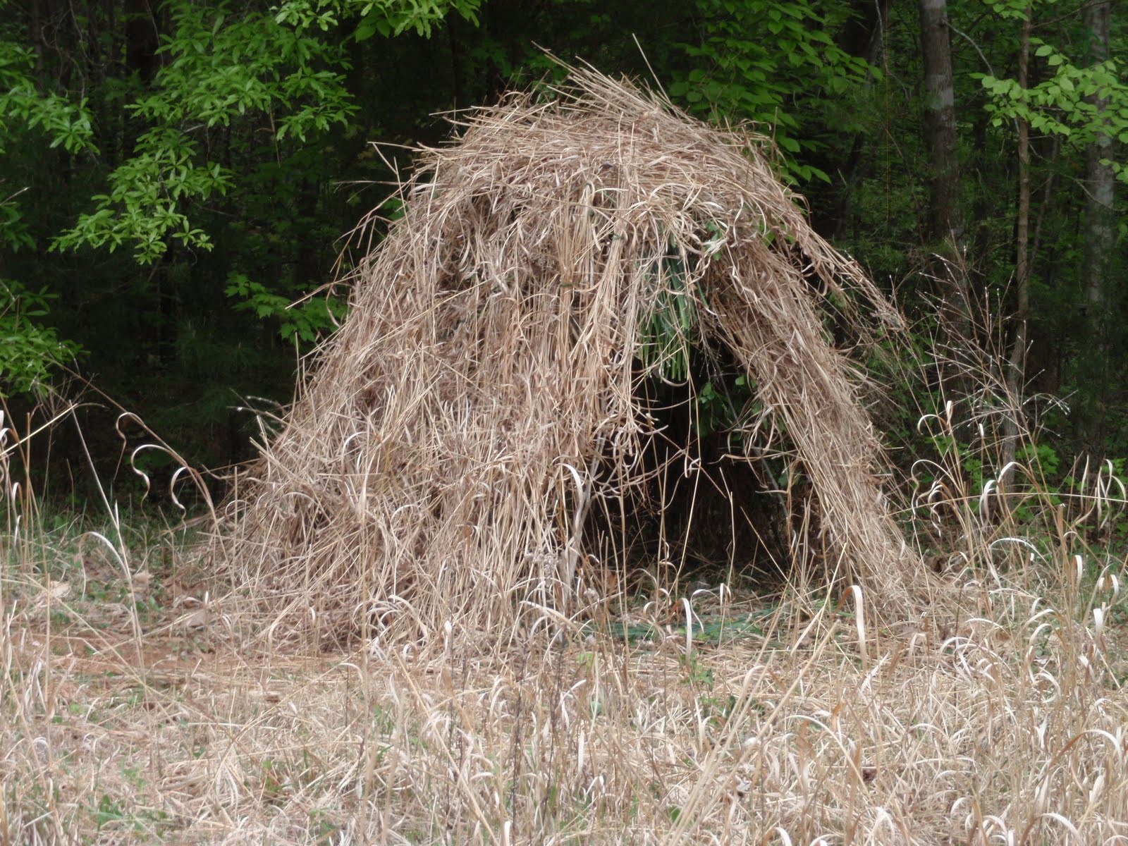 ConnieConcepts: Environment (Grass Hut) completion notes 4/18/10