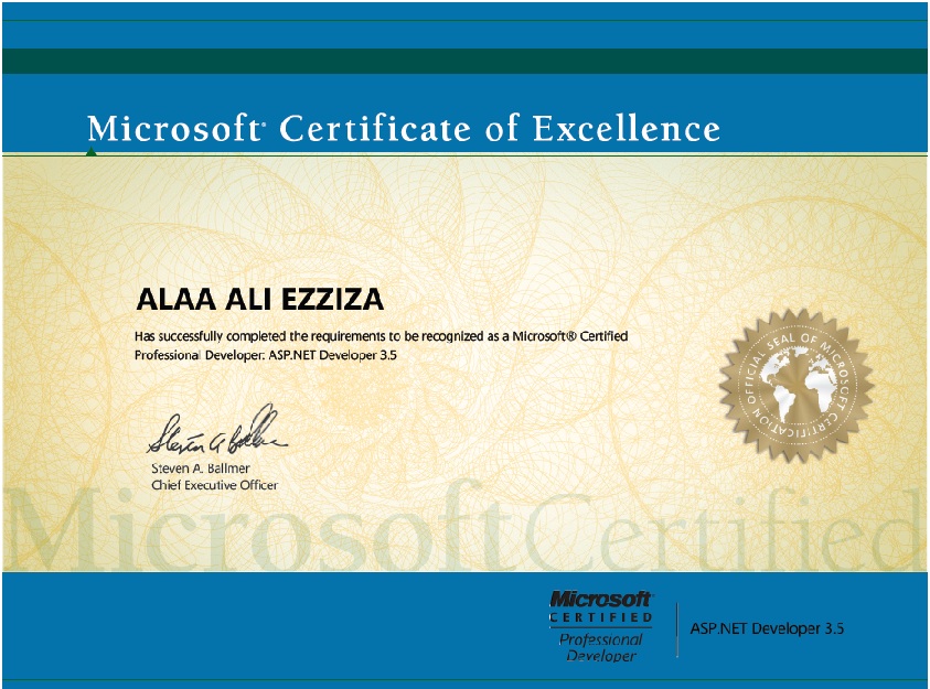 Eng/ Alaa Ali Ezziza - Personal Profile