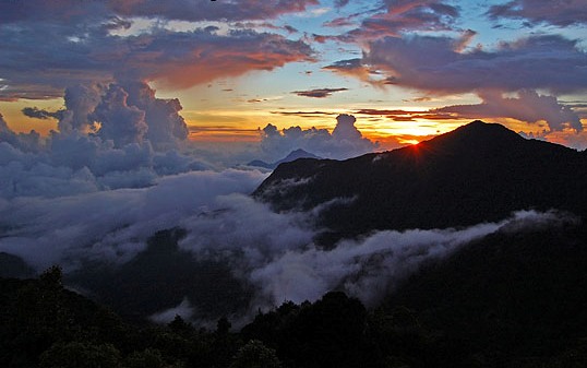 Malaysia VIP Holidays: Cameron Highlands