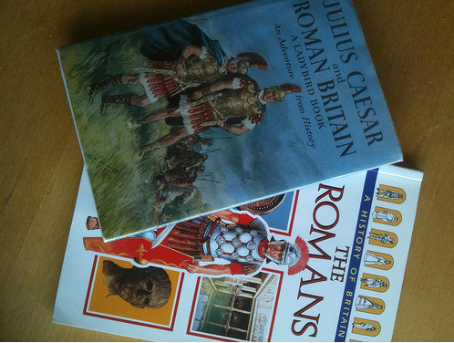 Ladybird Fly Away Home