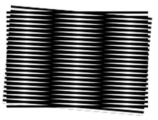 The Ketelsens!: Moire Patterns Around Us