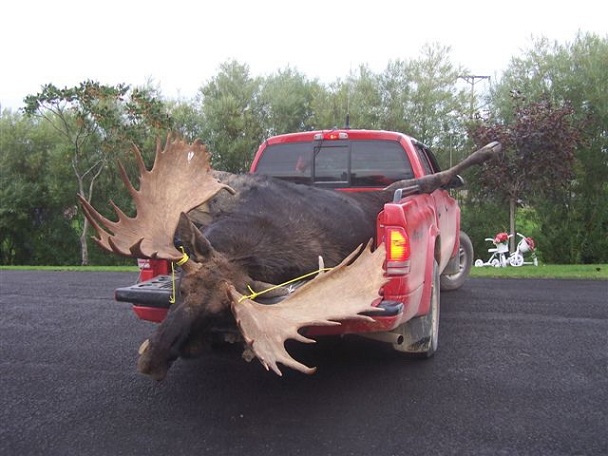 Marginalizing Morons: How To Pick-Up A Large Moose