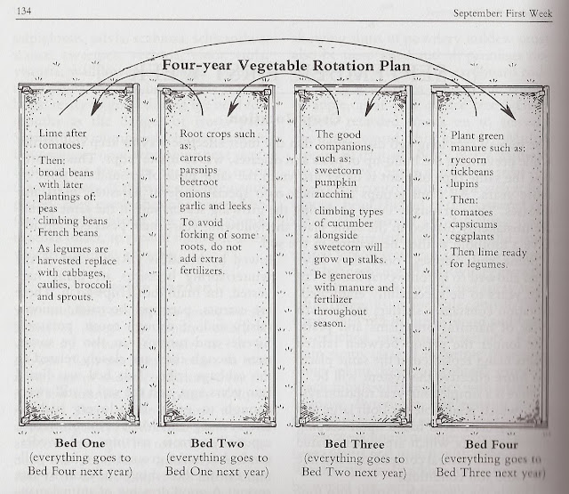 Remnant Gleaning: The Studio incorporating The Workroom & The Patch
