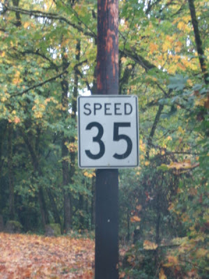 Across the Park: Oregon's endangered "Speed" Sign