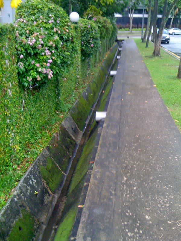 Expat@Large: 04/01/2010 - 05/01/2010