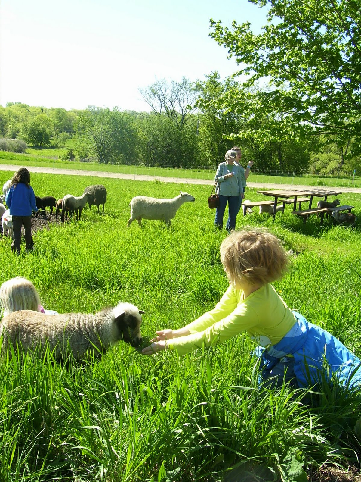 montessori and t: Children on the Farm