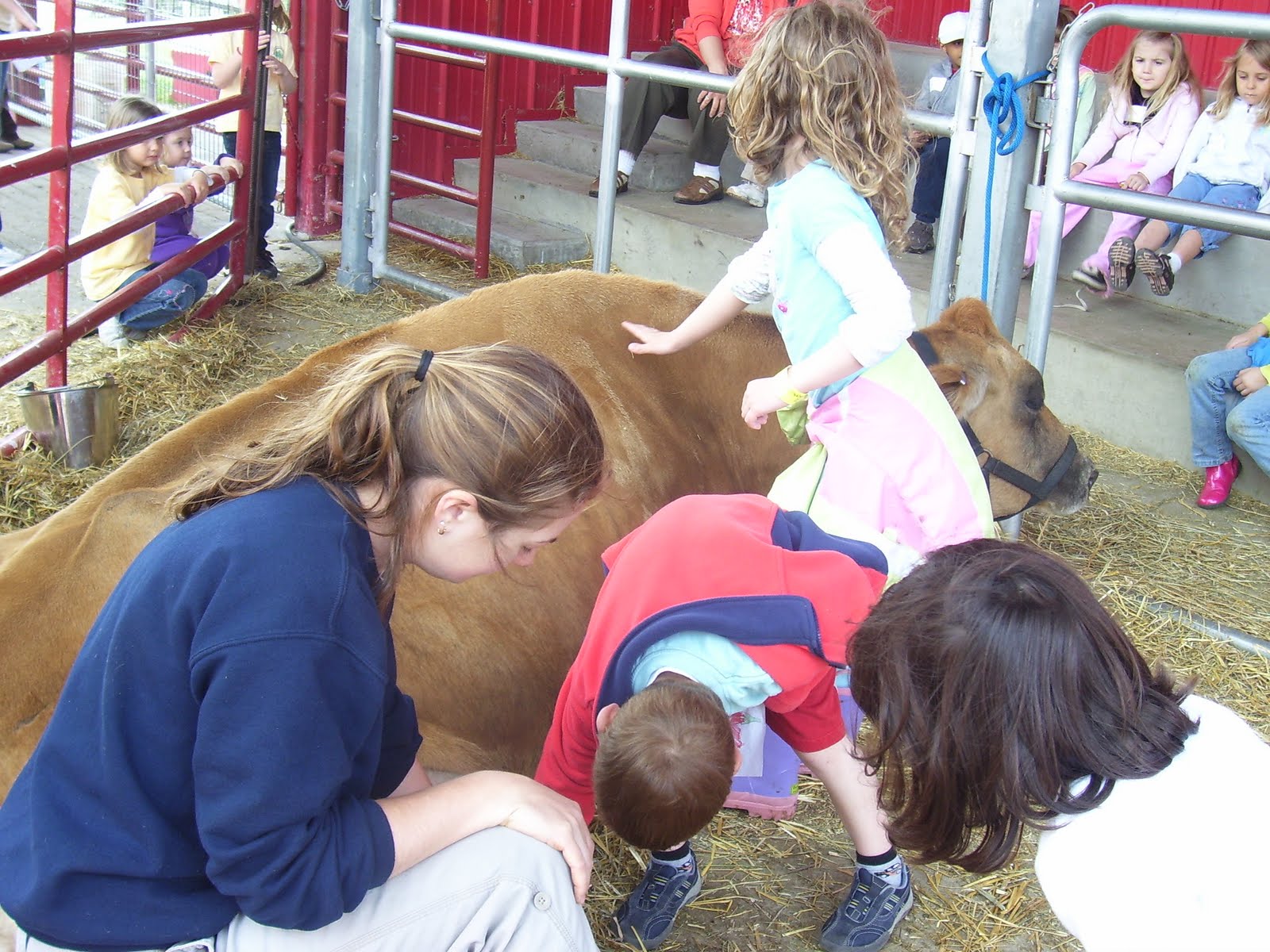 montessori and t: Children on the Farm