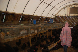 Jon Criss' Blog: Polyface Farm