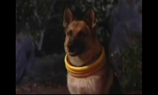 Animals in soap operas (a bestiary): Passions: Tabitha, transformed ...