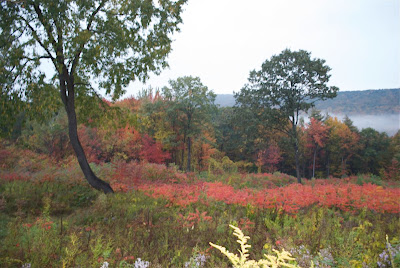 Flower Hill Farm: Soft Focus Fall Landscape