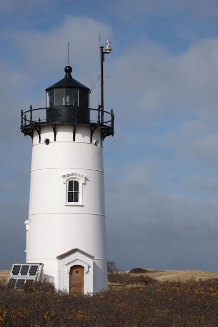 Flower Hill Farm: Blooms and Plumes Near the Sea for Garden Bloggers ...