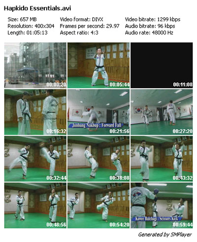 Martial Arts Wisdom: Hapkido Essentials - Basics of Hapkido