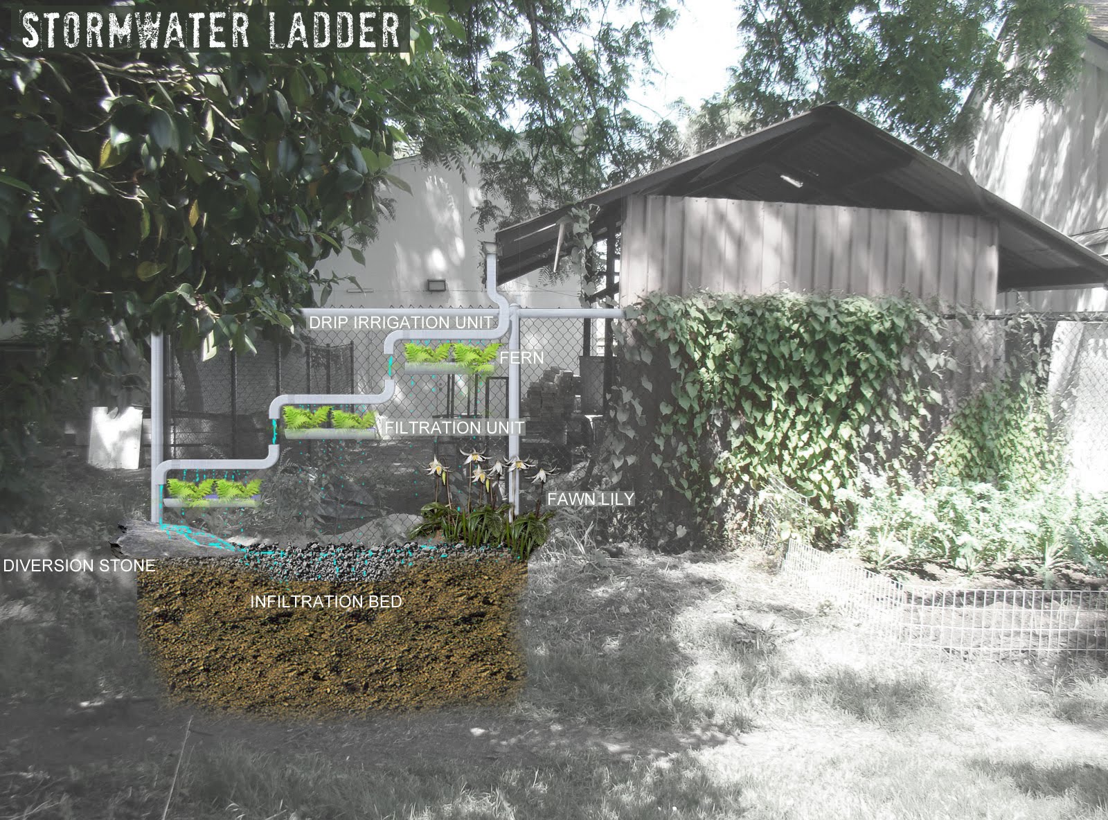 Horticultural Building Systems: [Midterm] Urban Farm Stormwater ...