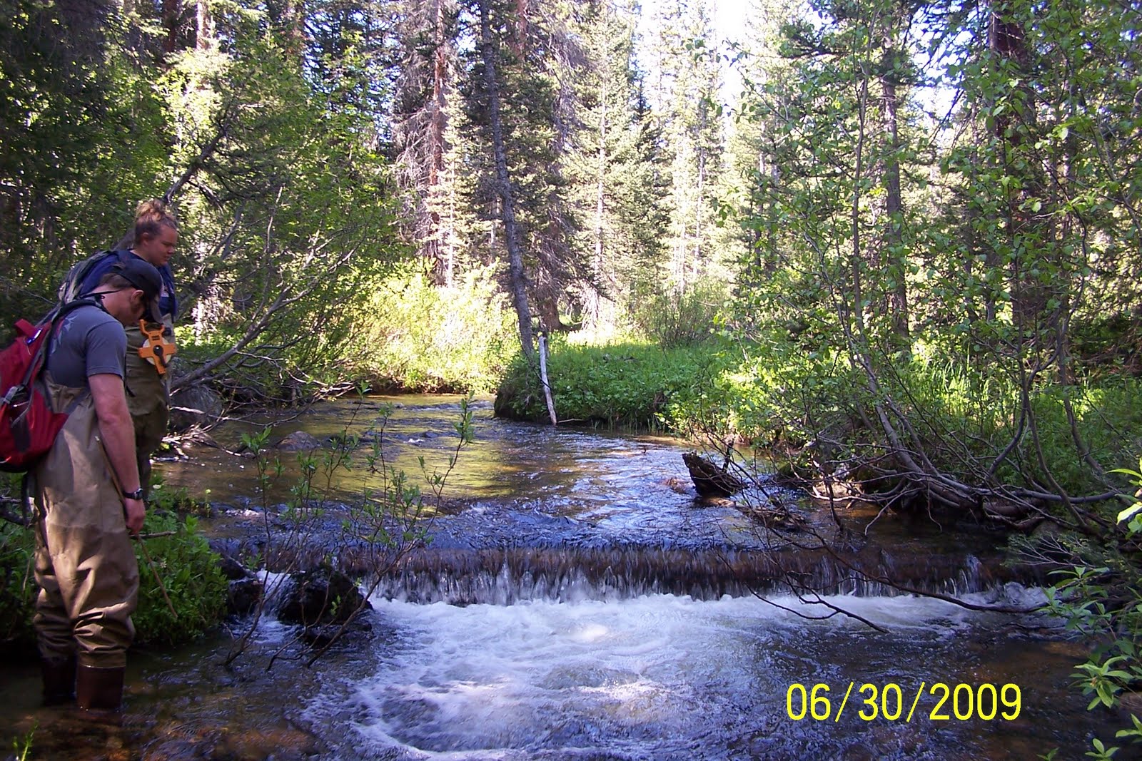 Stream Habitat Management: Two projects