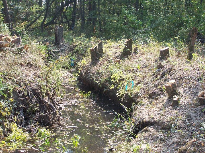 Stream Habitat Management: Urban Stream Restoration