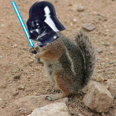 John Bapst digital media: Darth Squirrel