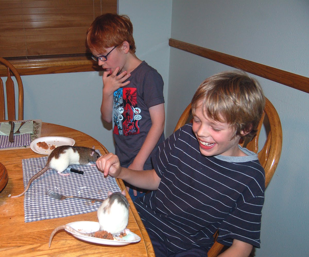 Jennifer's Photo Blog: Rat birthday party