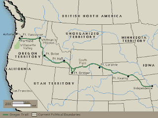 A Boy and His Cat: The Organ Trail