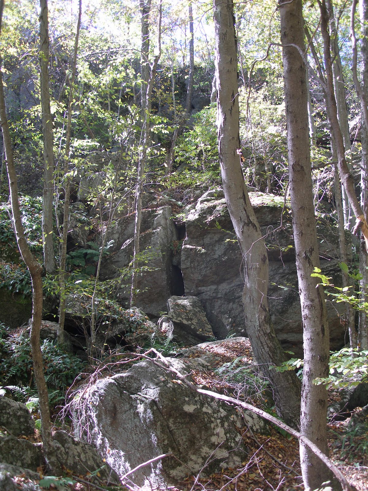 Hiking the Connecticut 400: Naugatuck State Forest (West)