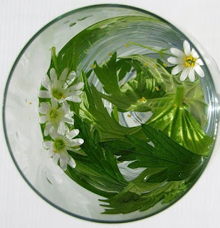 Sunt paradisul static...fac sa dispara norii...un inceput sfirsit ...