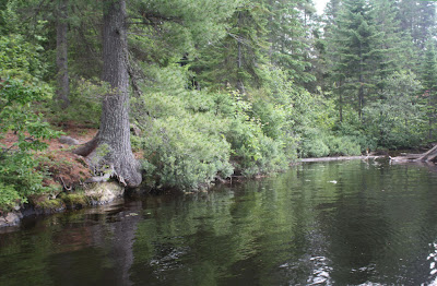 Photos by Karen Irene: OUR ROAD TRIP - Canada and Beyond