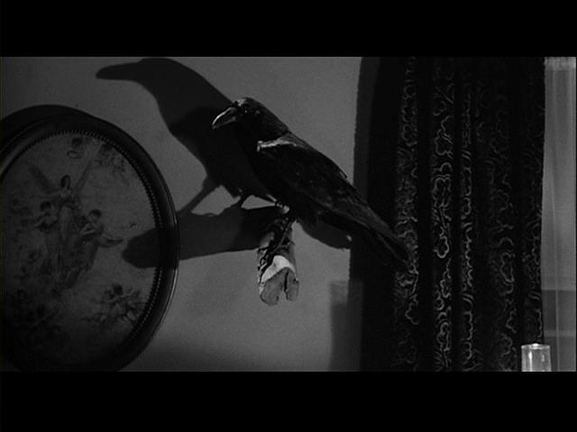 Dinner With Max Jenke: Still Crazy After All These Years