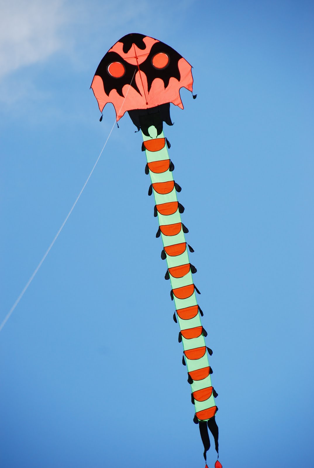 Kites n Kytes: Kites Selection