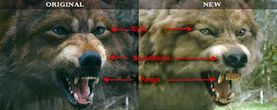 Twilight Hot News: Diferenta dintre varcolaci