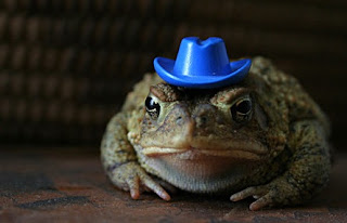 So Yeah...: Runners, Toads && TV Stars-- This Is What Politics Is About.