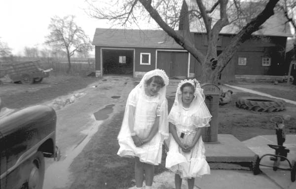 Tripp Family History