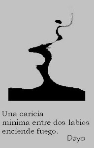 Haiga 俳画: HAIKUS: ¡EL SECRETO DE SUS OJOS!!